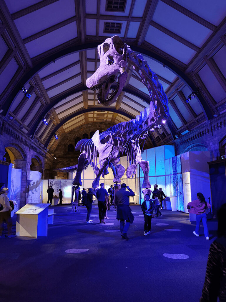 Laura Geyer M.A. - Coutot-Roehrig